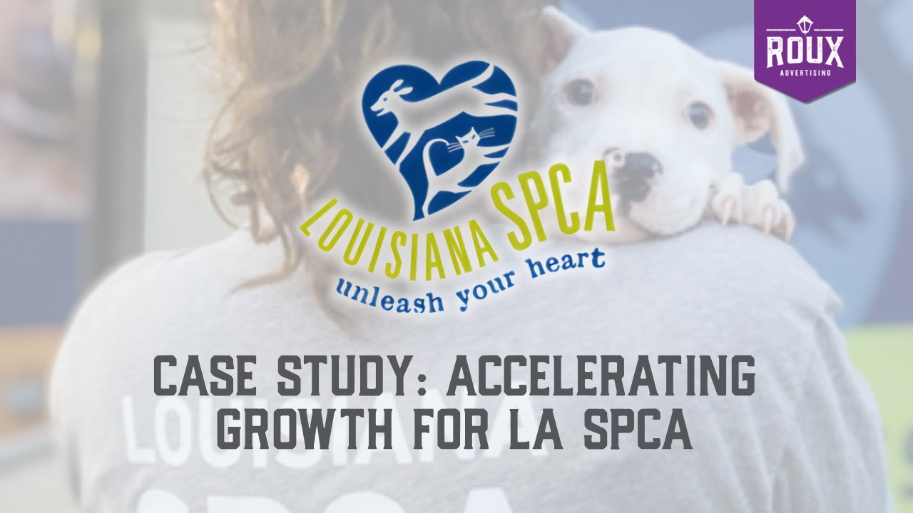 CASE STUDY: Accelerating Growth for LA SPCA