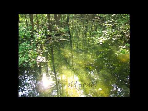 Basho’s frog haiku with Traditional Japanese music | Silver Birch Press