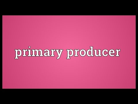 Primary producer Meaning