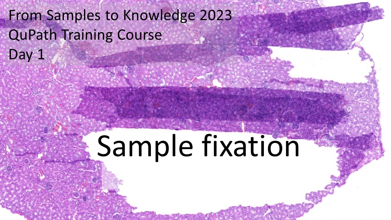Sample Fixation