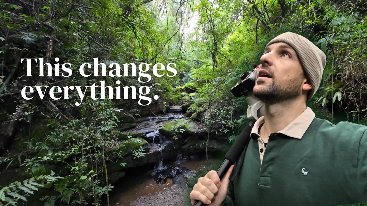 On the Wing #6 | The shift I needed at The Forest Pod (4K)