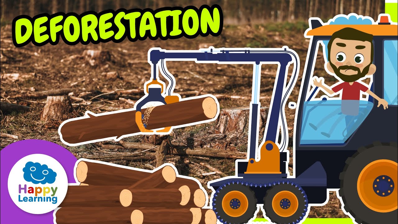 The Importance of Trees 🌳💚 | Happy Learning