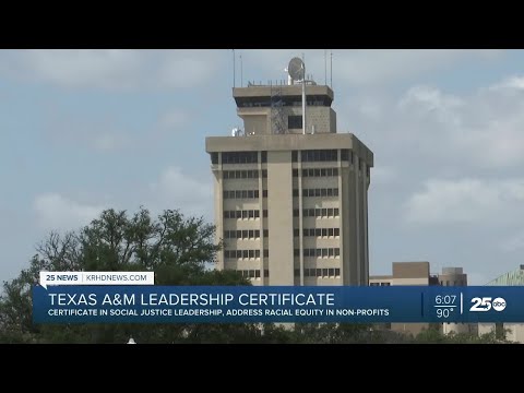 Texas A&M offering new online program addressing racial equality