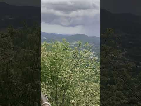 Look the Appalachian