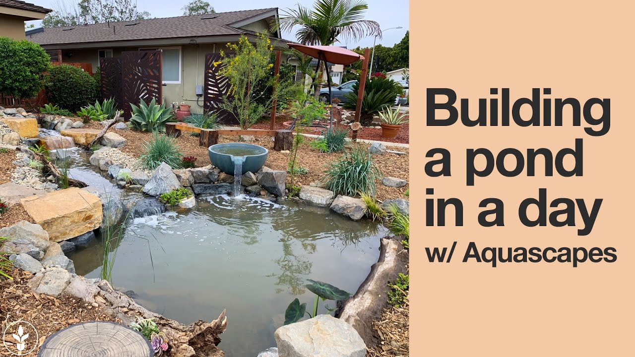 Building a pond in a day with Aquascapes! | Sara Bendrick