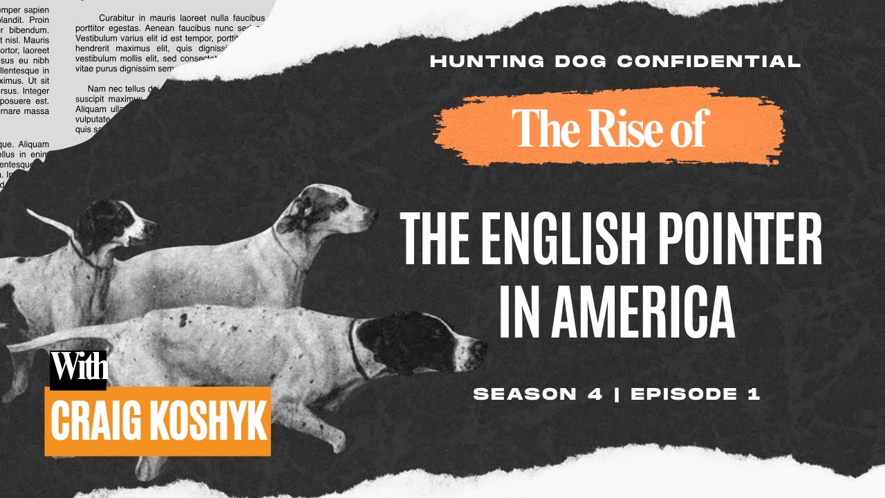 Dog Breed Documentary: The Rise of the English Pointer in America with Dog Historian Craig Koshyk
