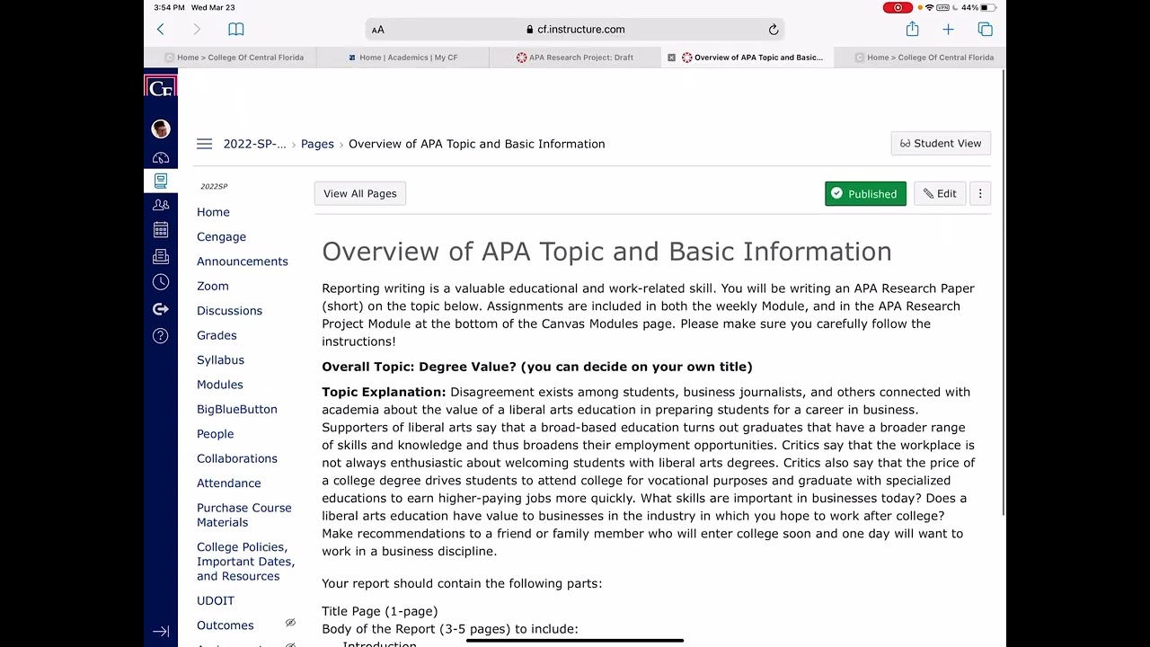 APA Rough Draft Rundown