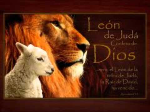 Video – Resucitó el León de la Tribu de Judá | Comunidad Carismática de ...