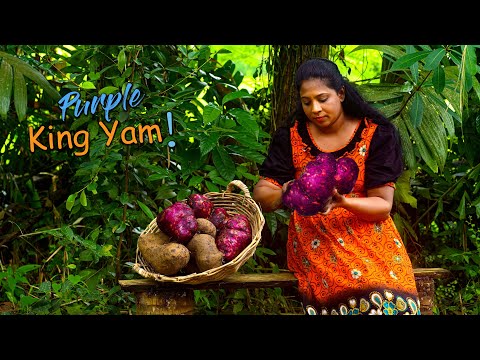 Violet colour King Yam! Purple steam buns or Pink Congee. Which is your favourite? | Traditional Me