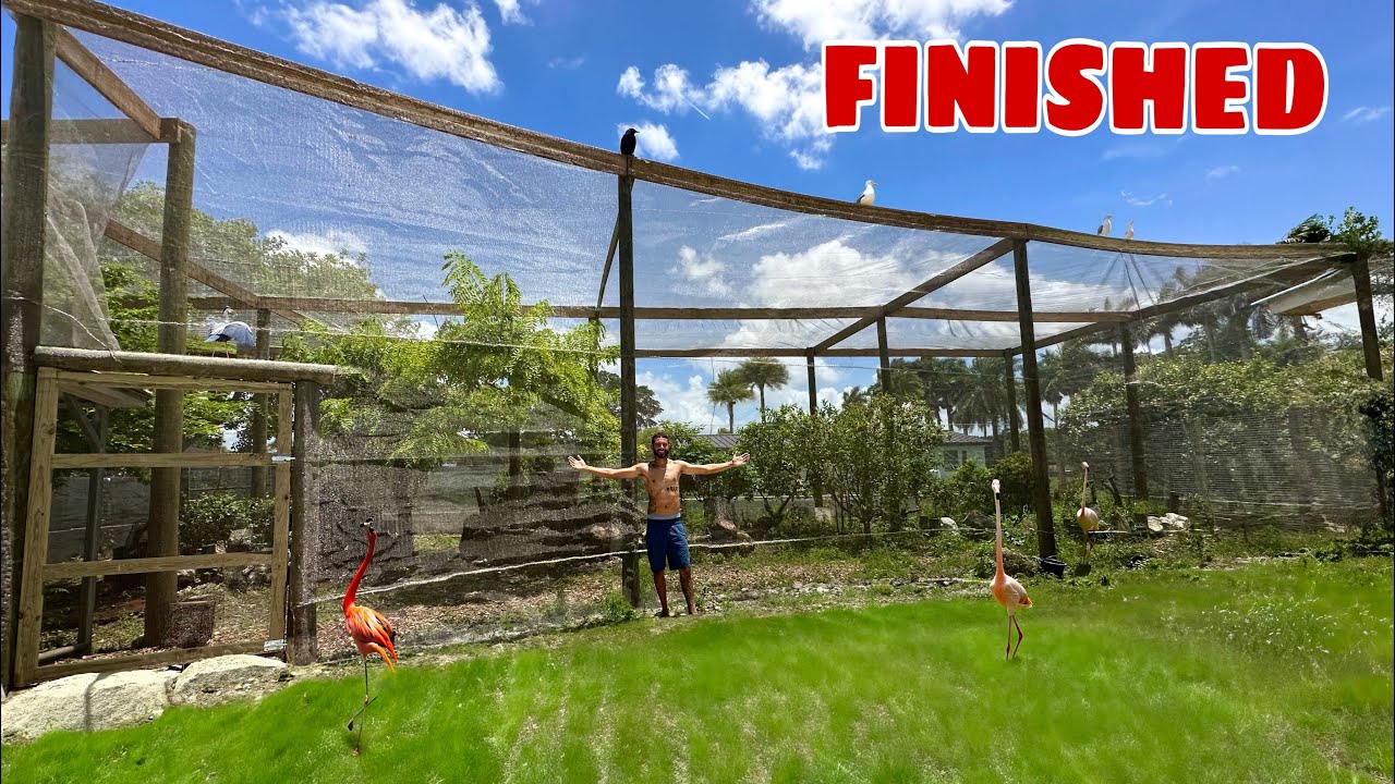 My BIGGEST AVIARY Is COMPLETE!!