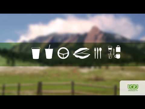 What is Eco-Products?