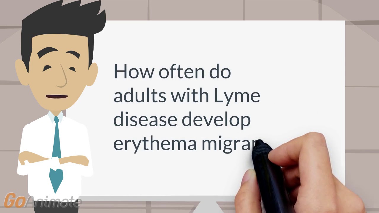Erythema migrans in adults
