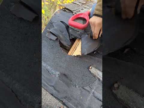 Surprise! previous hack roofers shinannigans #csontoproofing #novascotia #canada