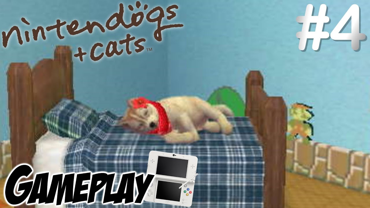 Nintendogs + Cats (Golden Retriever) Gameplay #4 [ITA]