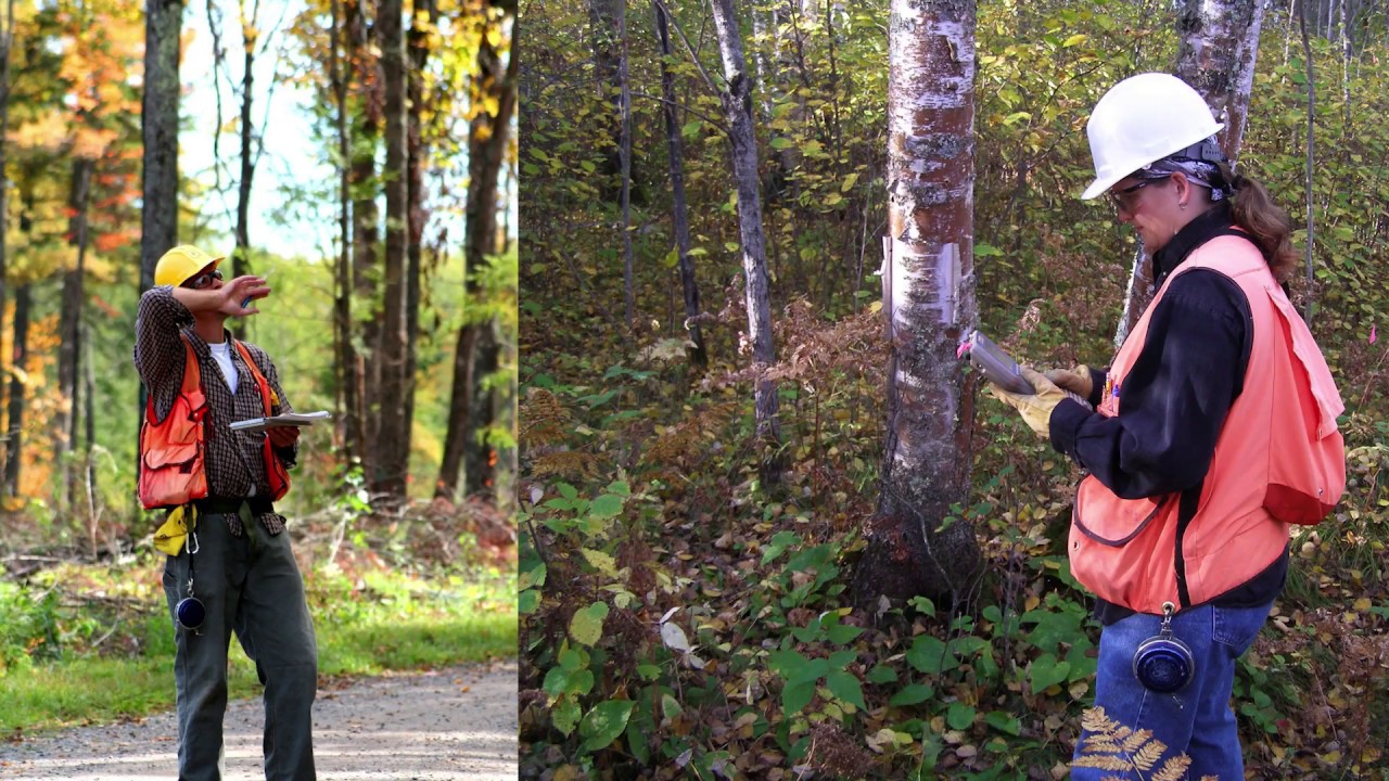 Forest Inventory and Analysis and You