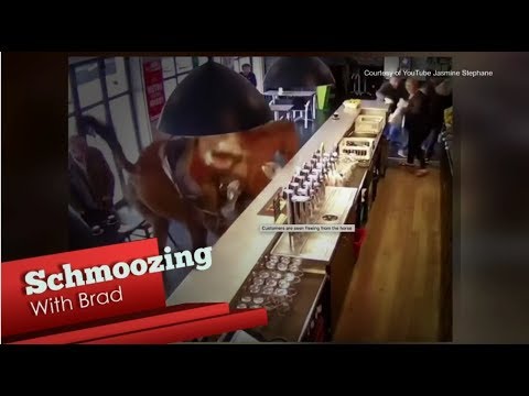 A Horse Walks, No, Runs into a Bar in Paris.