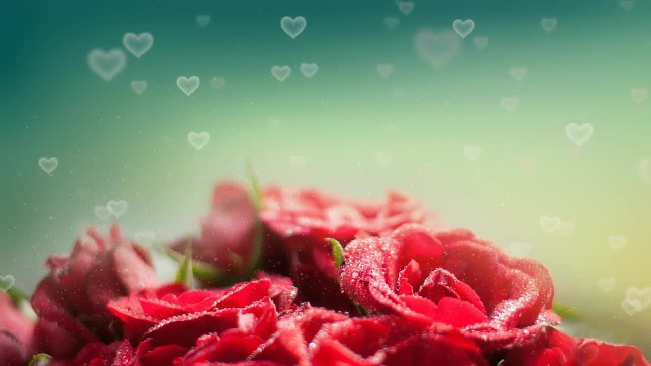 Roses Hearts Backgrounds Motion Graphics