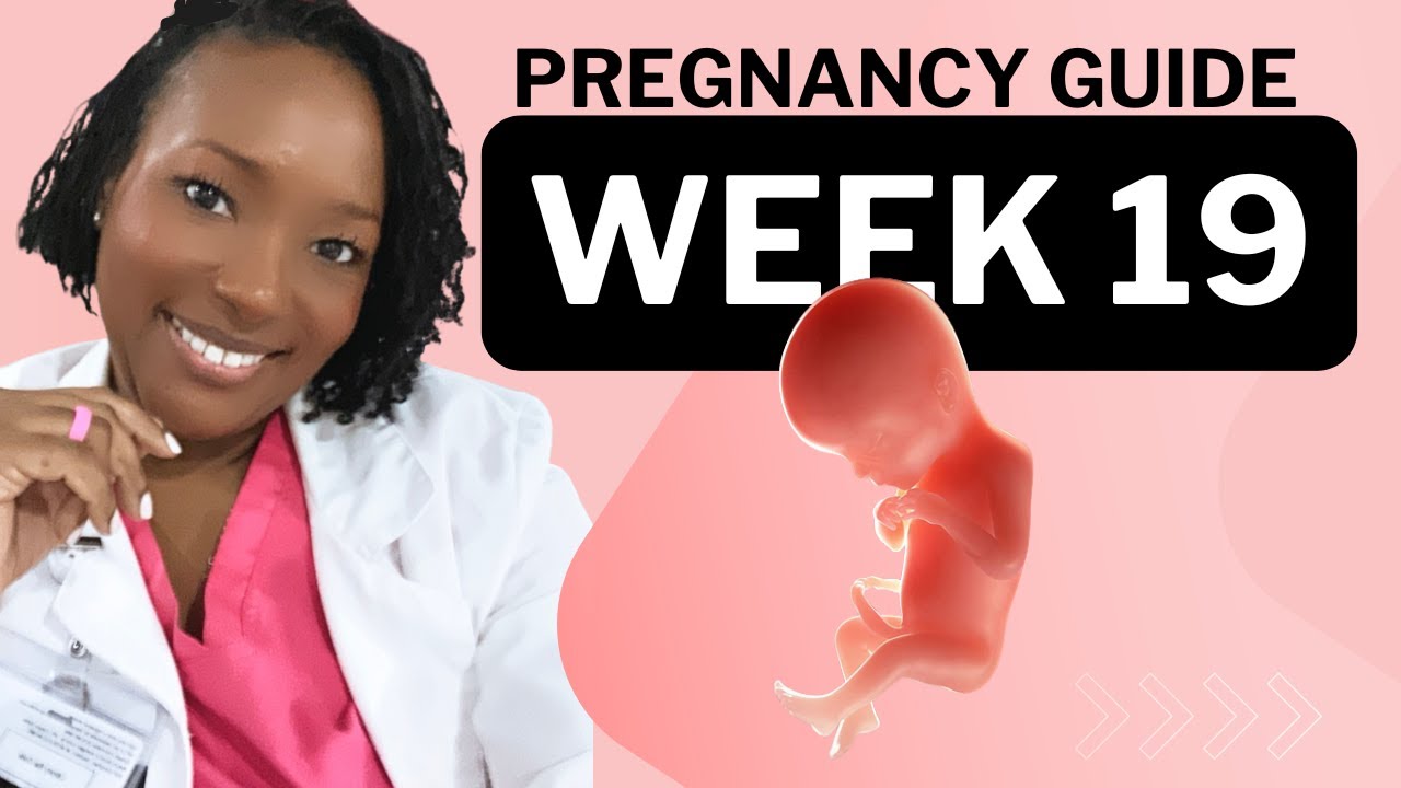 19 Weeks Pregnant: What To Expect