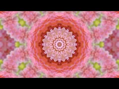 unconditional love for the whole world, a symbol of spirituality and enlightenment\session27