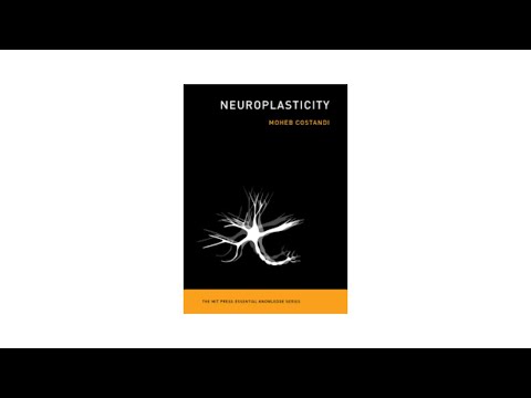 Neuroplasticity by Moheb Costandi -- Book Review