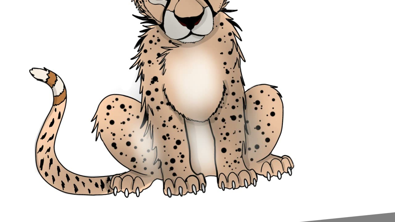 Asiatic Cheetah for Endangered contest for #blackfootferretoccon