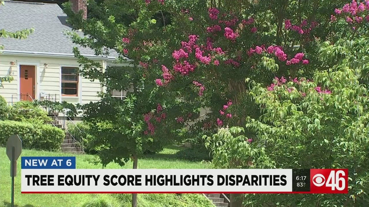 Tree Equity score highlights disparities