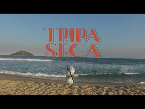 Tripa Seca: supergrupo underground retorna dançando no caos