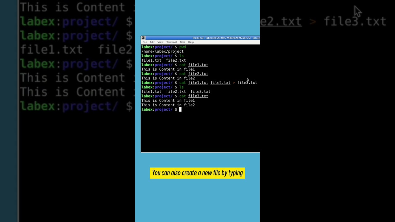 Practice Linux Commands 06 - cat  #commandline #linux #linuxcommands #linuxtutorial
