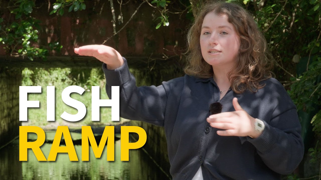 Kapiti ramping up fish passage for threatened species – KC News – News ...