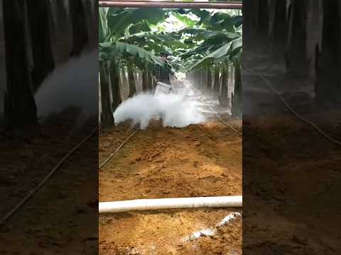 Applying Lime on Agriculture Field | It lowers Soil pH