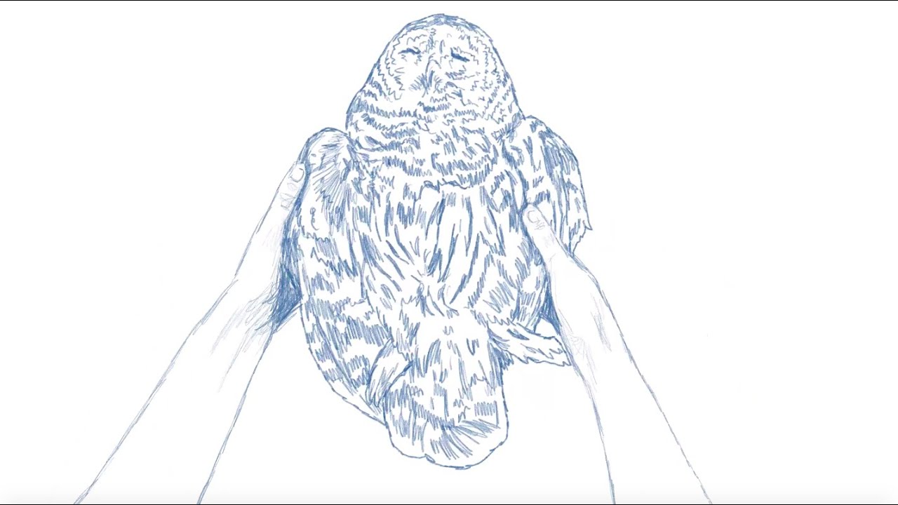 ART & STORY: Amanda Stronza