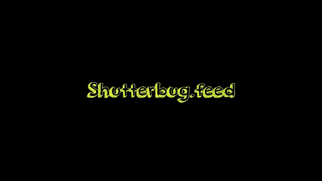 Shutterbug.feed | Channel Promo