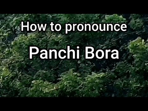 How to Pronounce Panchi Bora