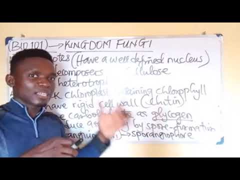 BIO 101 (CLASSIFICATION OF KINGDOM FUNGI)