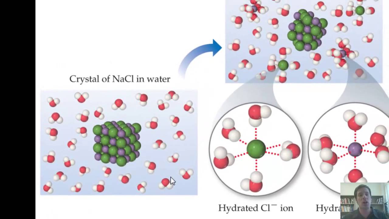 Chapter 13 - Properties of Solutions: Part 1 of 11