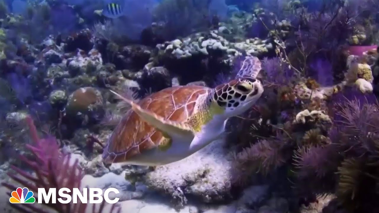 The ugly truth about warming ocean temperatures