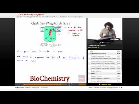 Aqa Gcse English Language Paper 1 Question 5 Model Answer – isunca17