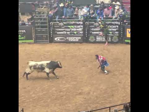 PBR bull fight