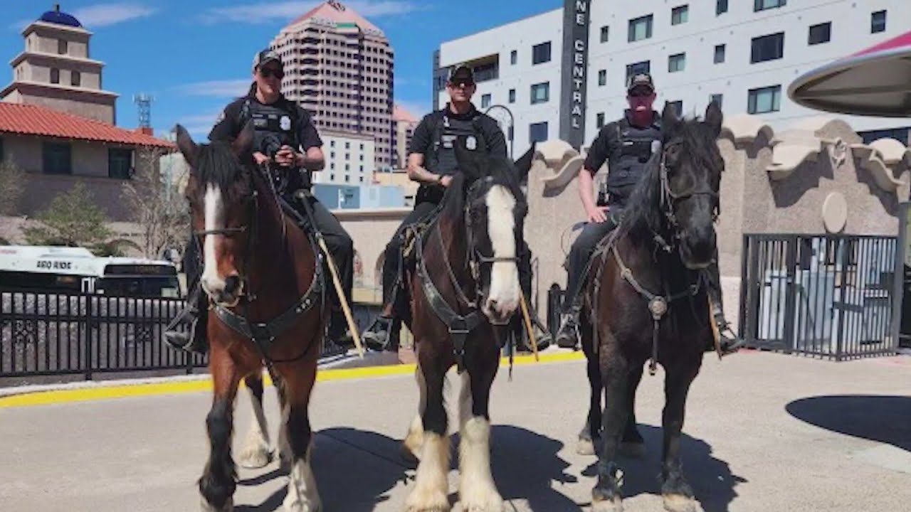 Video: Alleged shoplifter leads Albuquerque police on horse chase