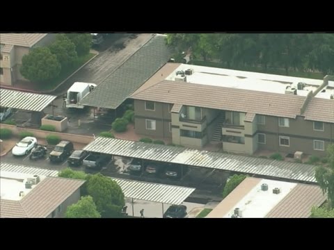 Lone Wolf Terror: A growing trend