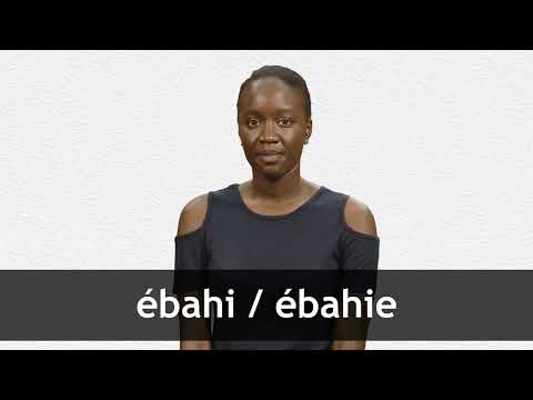 English Translation of “ÉBAHI” | Collins French-English Dictionary