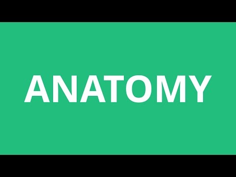 How To Pronounce Anatomy - Pronunciation Academy