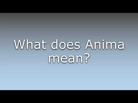 What does Anima mean?