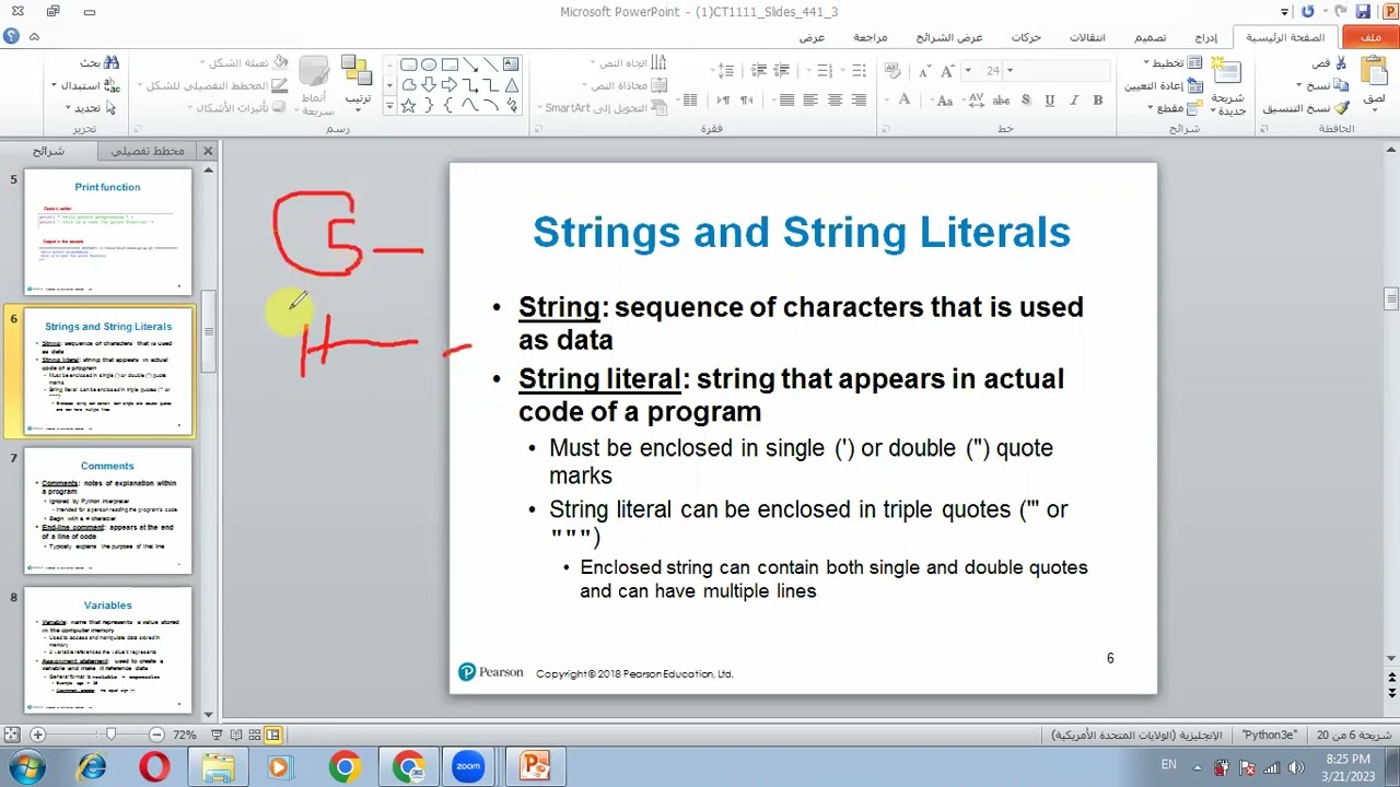 python chapter 2 Input, Processing, and Output part 1
