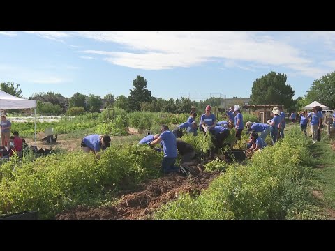 Pinnacol in Action features hundreds of employees volunteering for nonprofits in Colorado