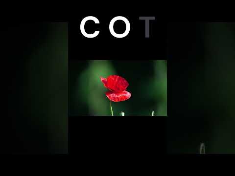 COQUELICOT - ( poppy in French ) - #frenchpronunciation