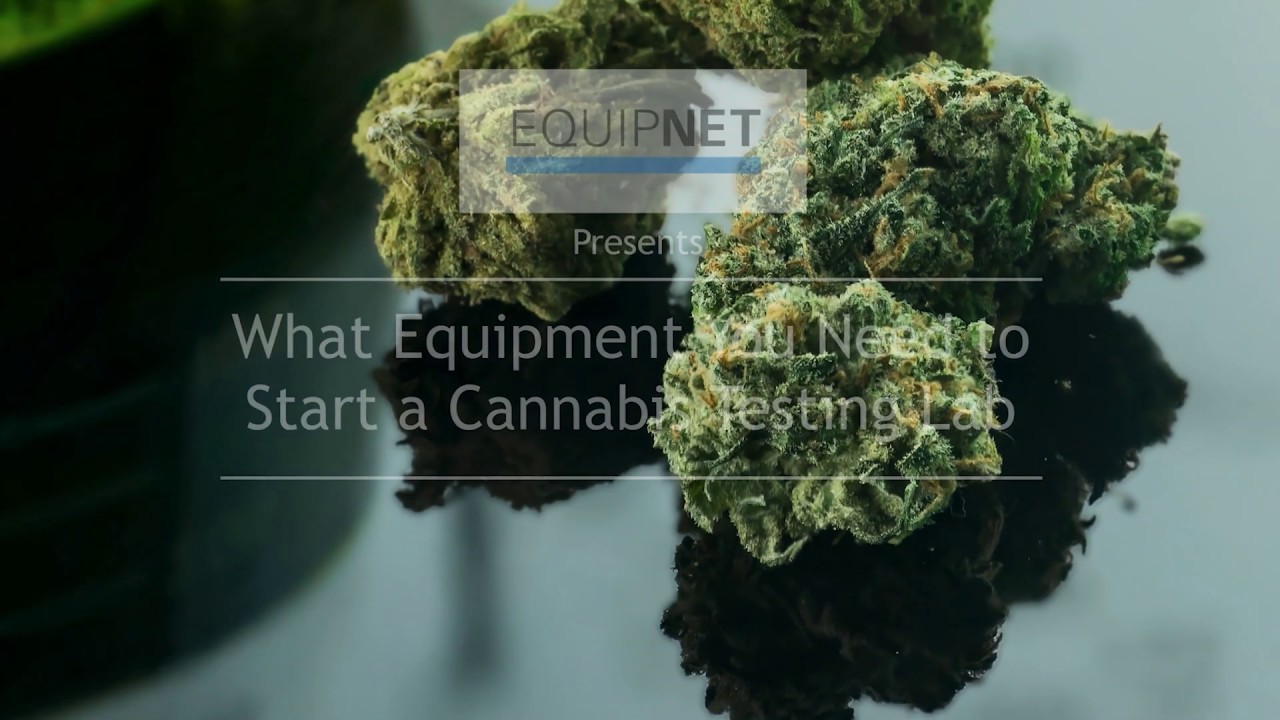 EquipNet Presents: What Equipment You Need to Start a Cannabis Testing Lab