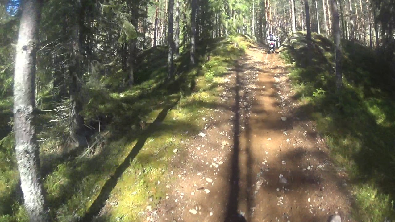 Gräsmark 2019 sandbacke