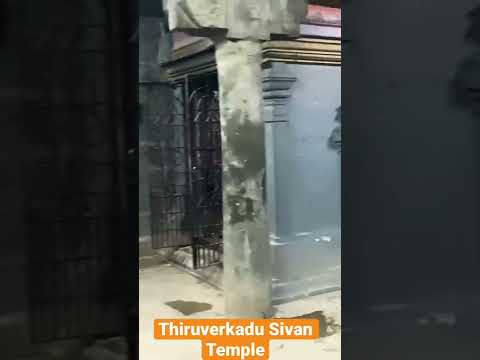Thiruverkadu Sivan Kovil #nayanmargal #nayanmars #omnamahshivaya #sivaperuman #sivantemple #sithar