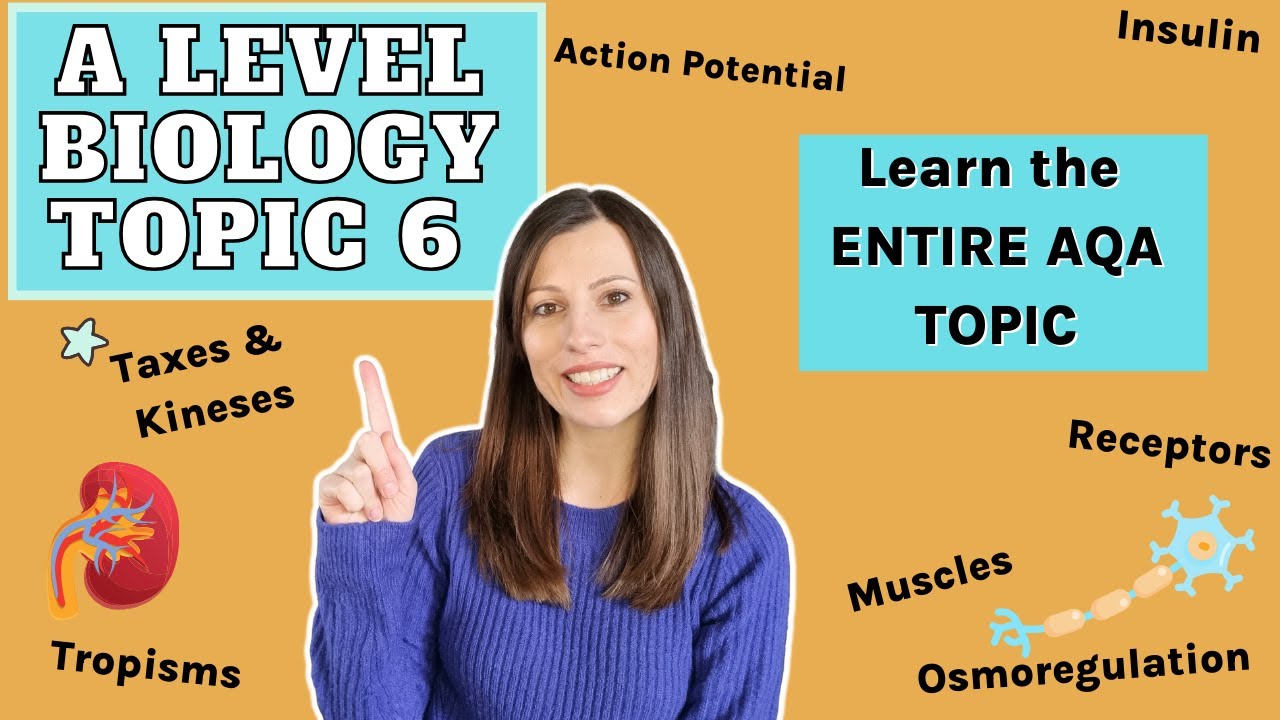 Understanding A Level Biology: Homeostasis, Muscles, Synapses, and ...